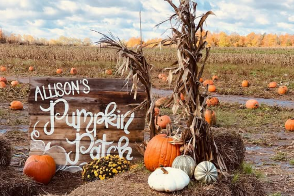 Allison's Farm Market - Hamilton Halton Brant
