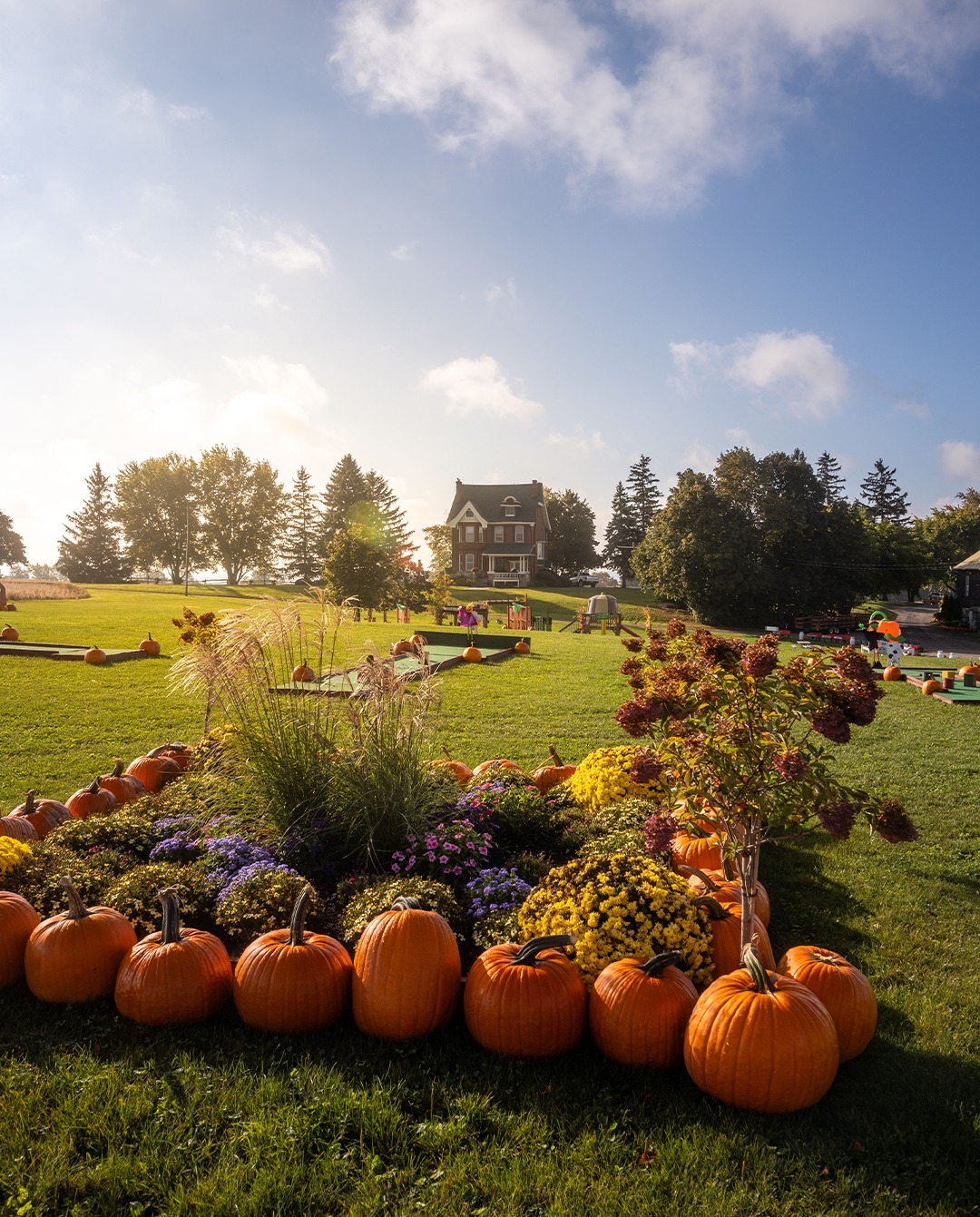 From Busy Bees to Apple Trees: A Sweet Adventure in Hamilton and Halton ...