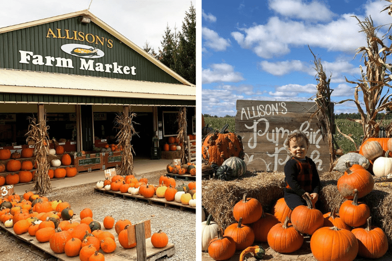 5 Must-Visit Spots to Kick-Off Harvest Season in Halton Hills ...